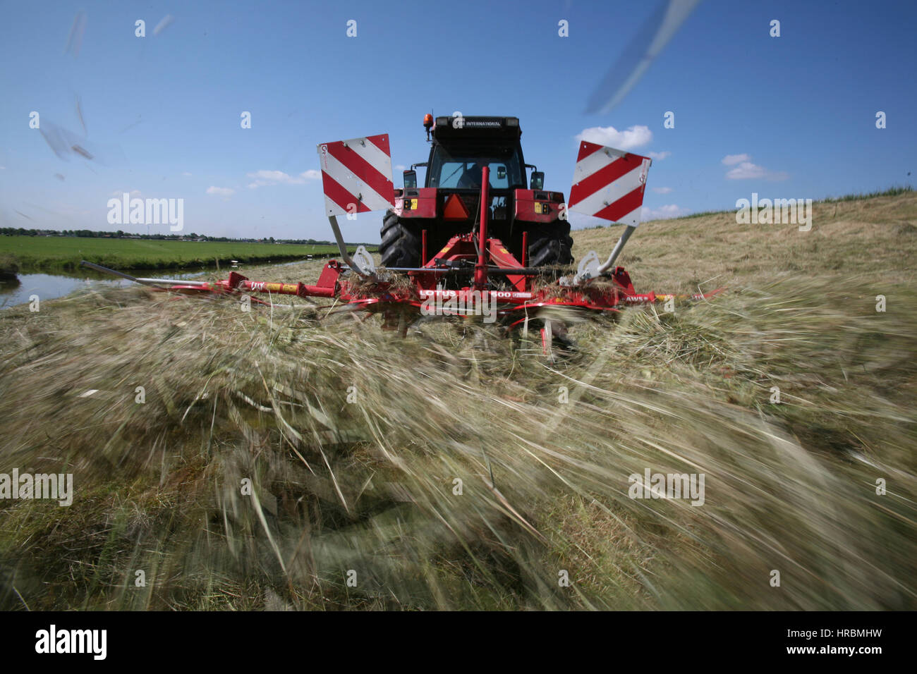 grass (hay) is cut and conserved under plastic Stock Photo - Alamy