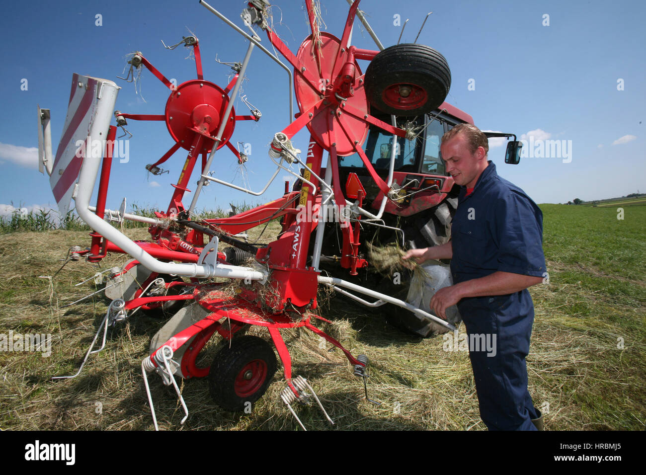 grass (hay) is cut and conserved under plastic Stock Photo - Alamy