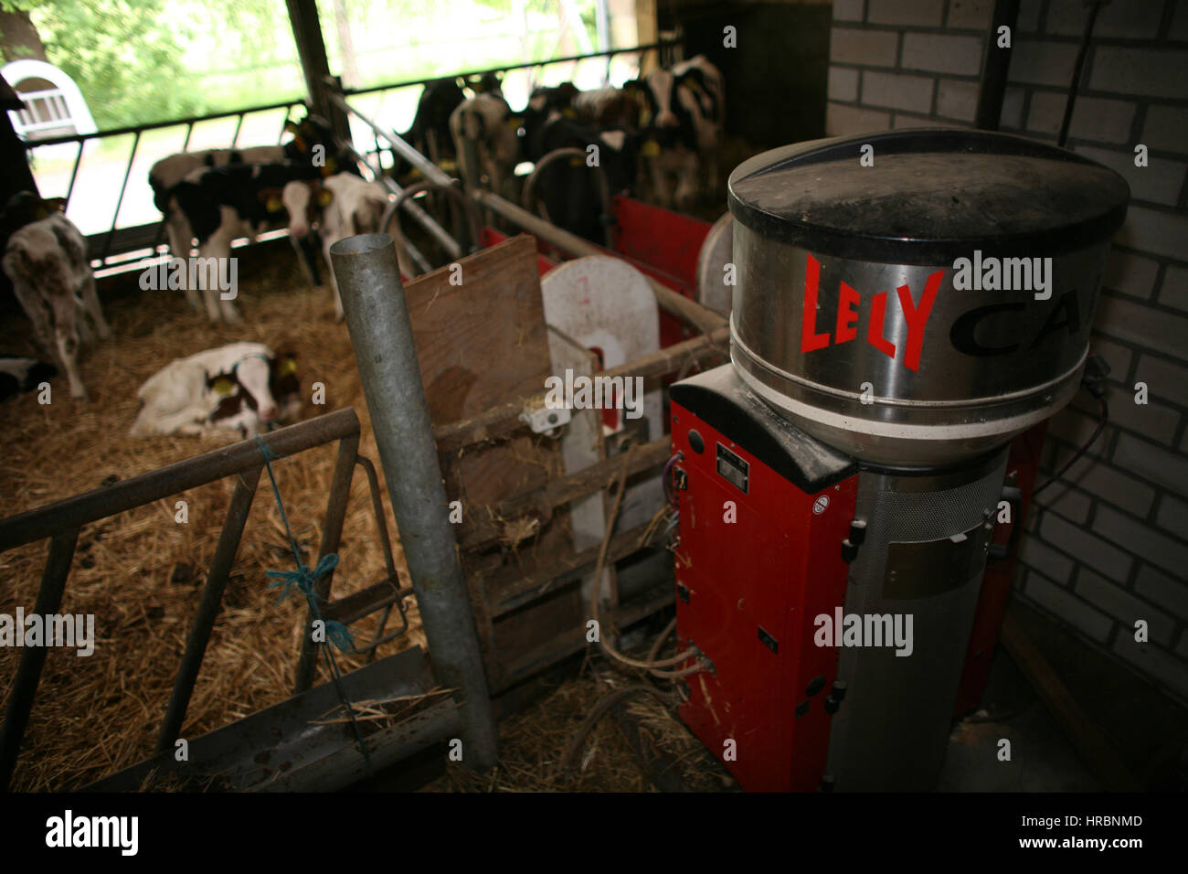 computer for milking cows at work Stock Photo - Alamy