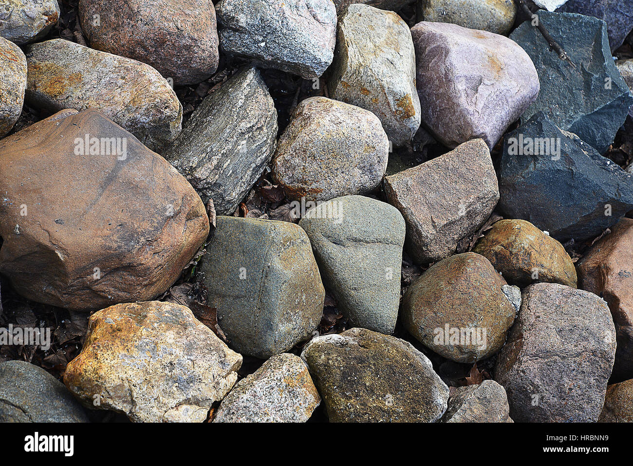 Different fossils hi-res stock photography and images - Alamy