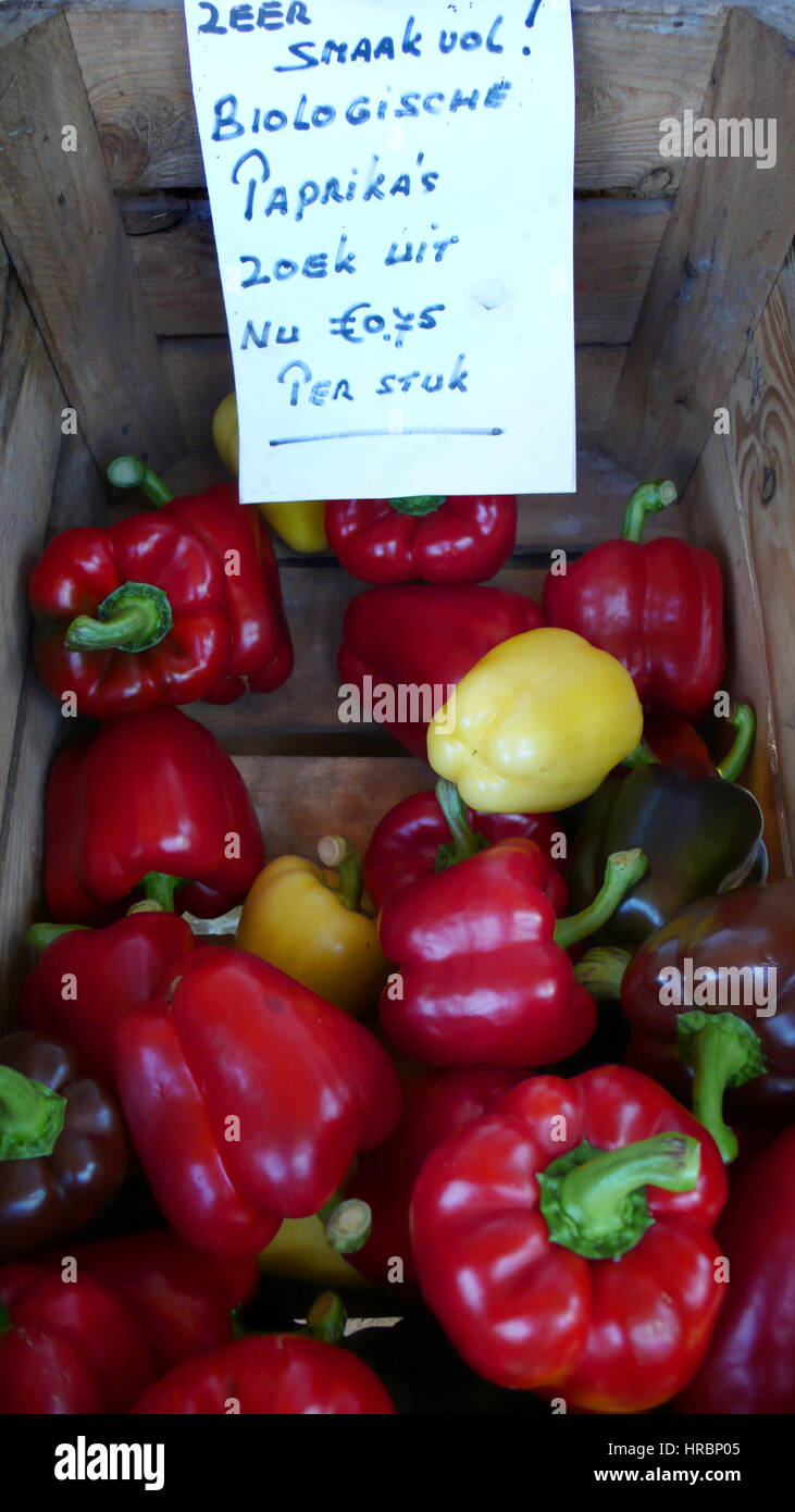 red peppers. organic farming Stock Photo - Alamy