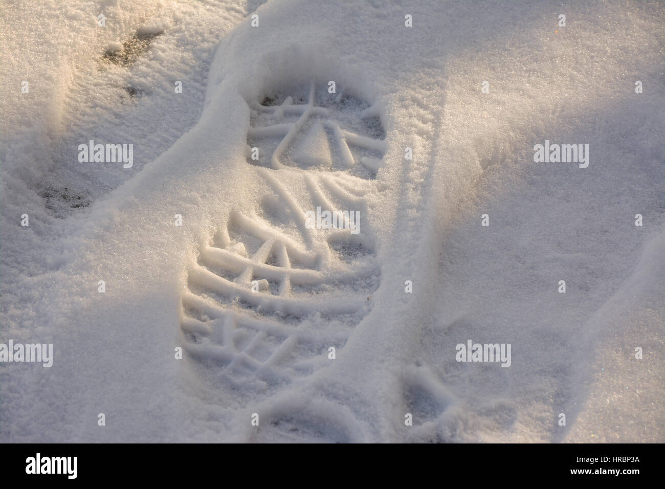 Clear Shoe prints in the snow Stock Photo - Alamy