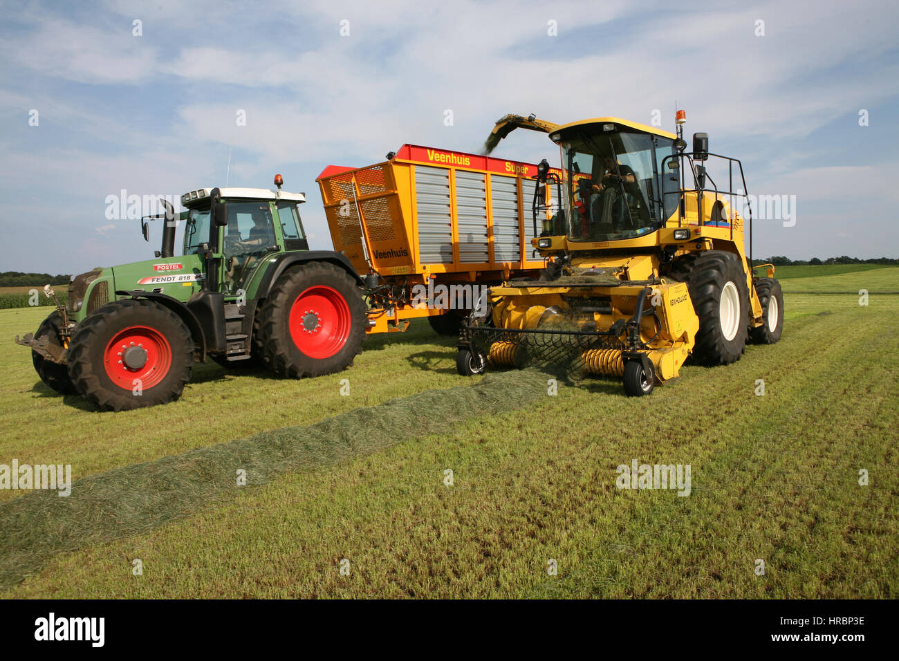 harvesting grass in the netherlands. It is used for animal food during ...