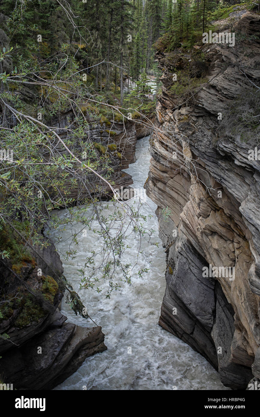 Jasper canada landscape erosion hi-res stock photography and images - Alamy