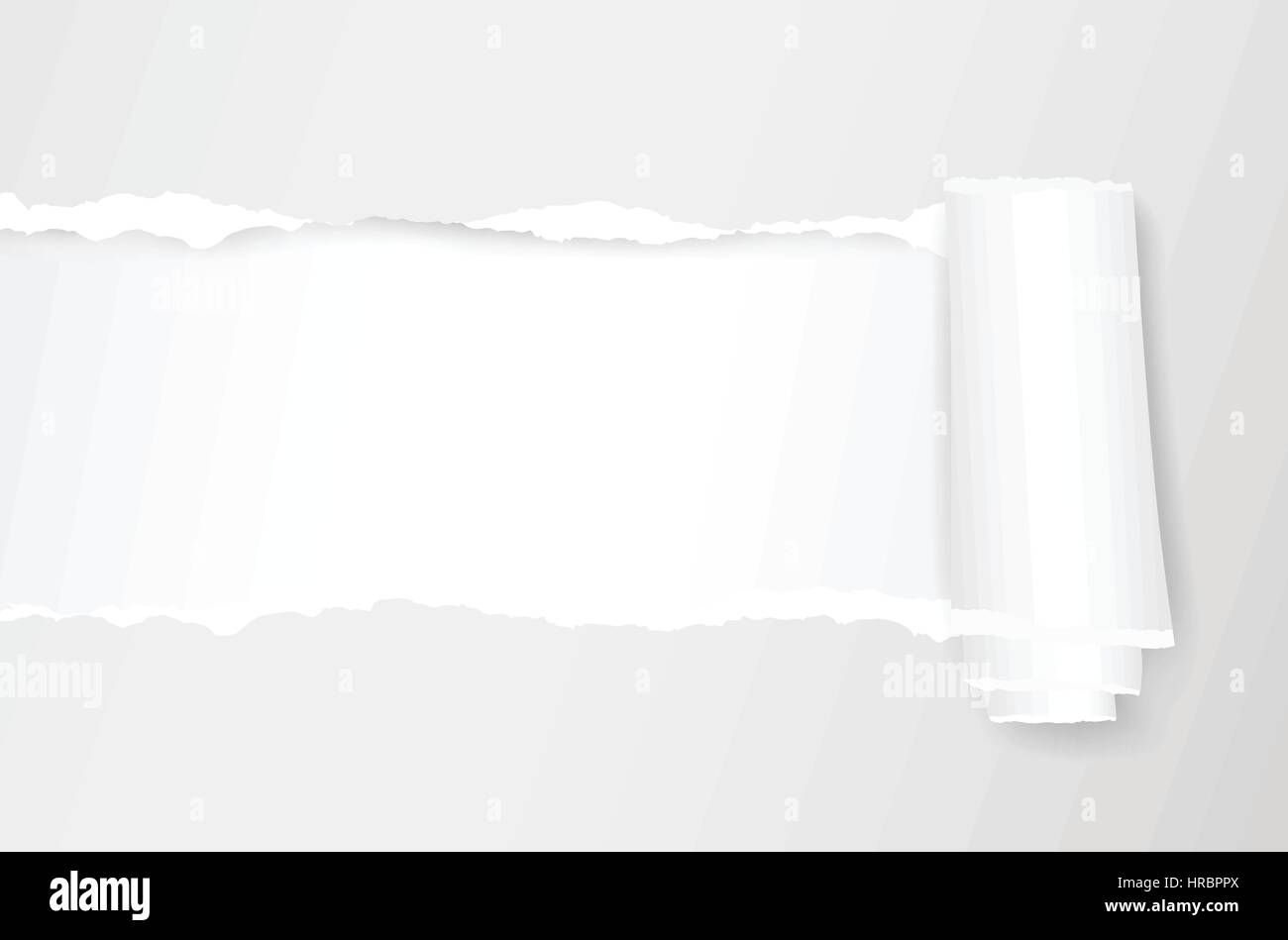 Rolled and ripped white notebook paper sheet. Vector illustration Stock ...