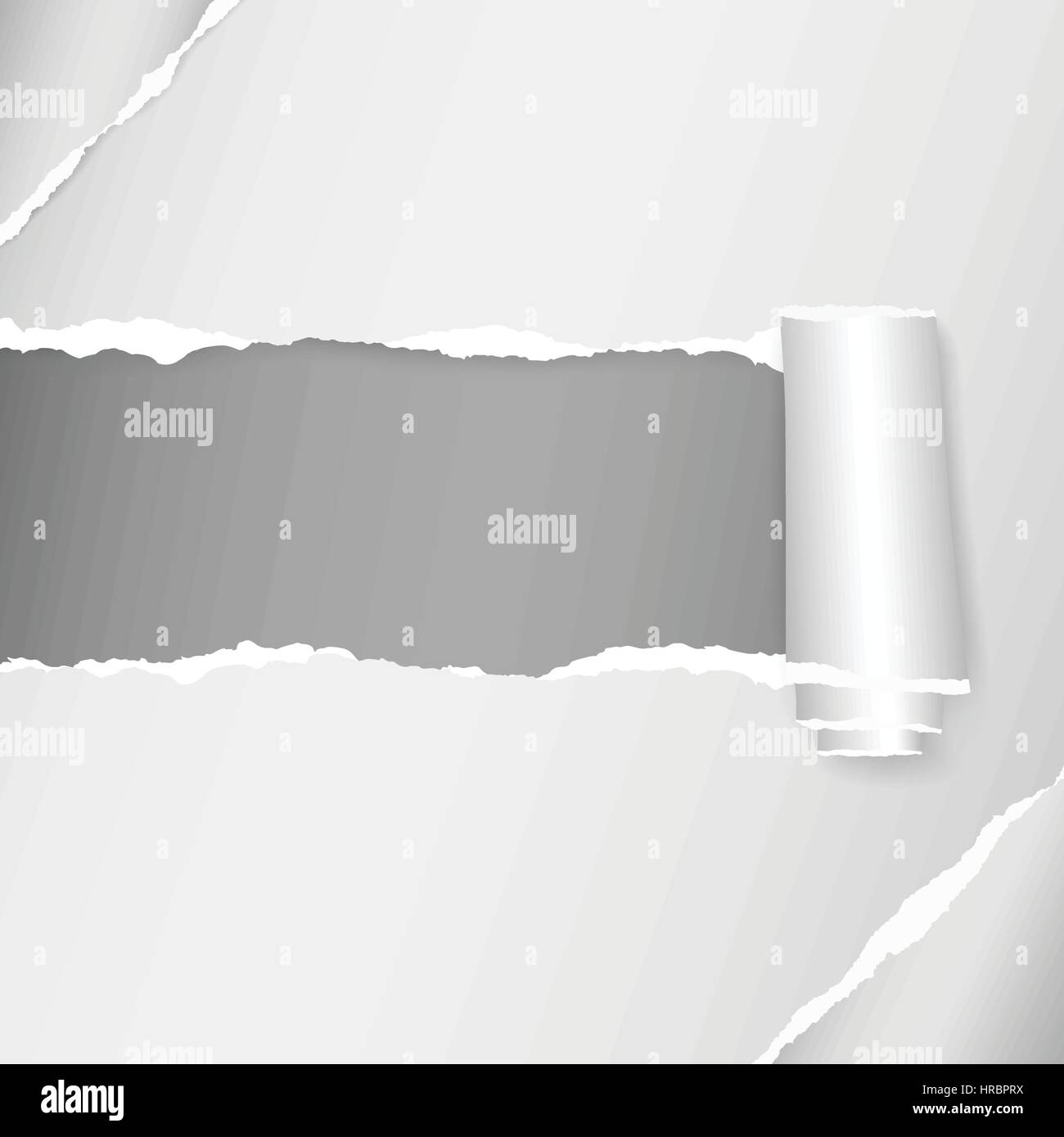 Rolled and ripped white notebook sheet, torn paper in corners Stock ...