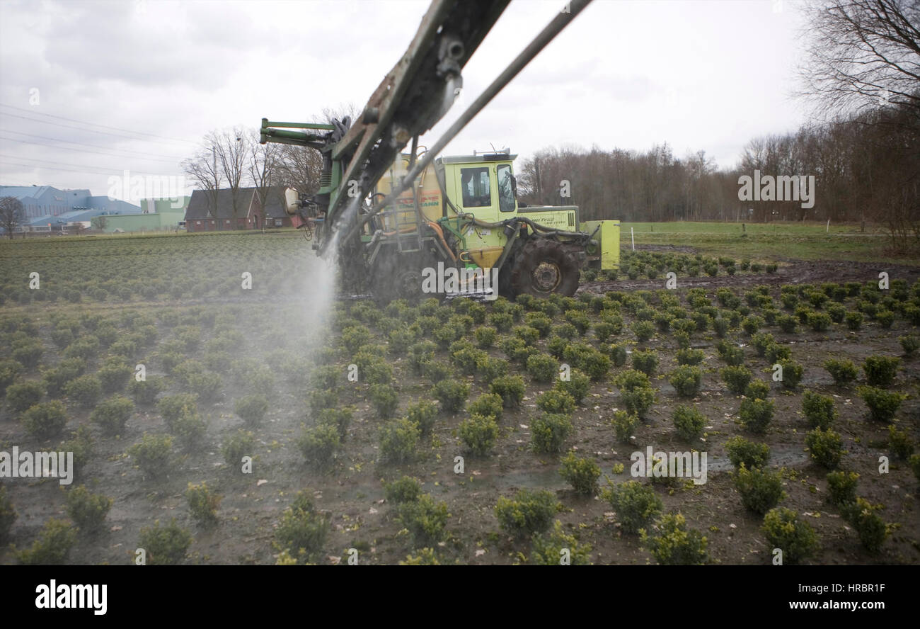 spraying of insecticide and fertilizers Stock Photo - Alamy