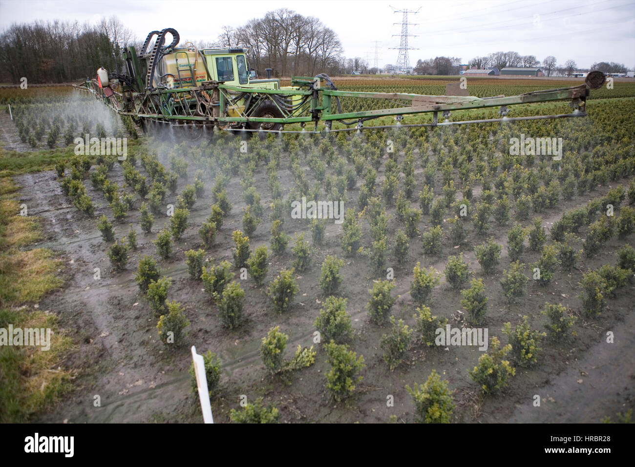spraying of insecticide and fertilizers Stock Photo - Alamy