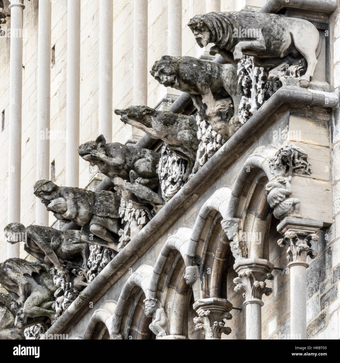 Fanciful gargoyles on the facade of Notre Dame Church, Dijon, Burgundy ...