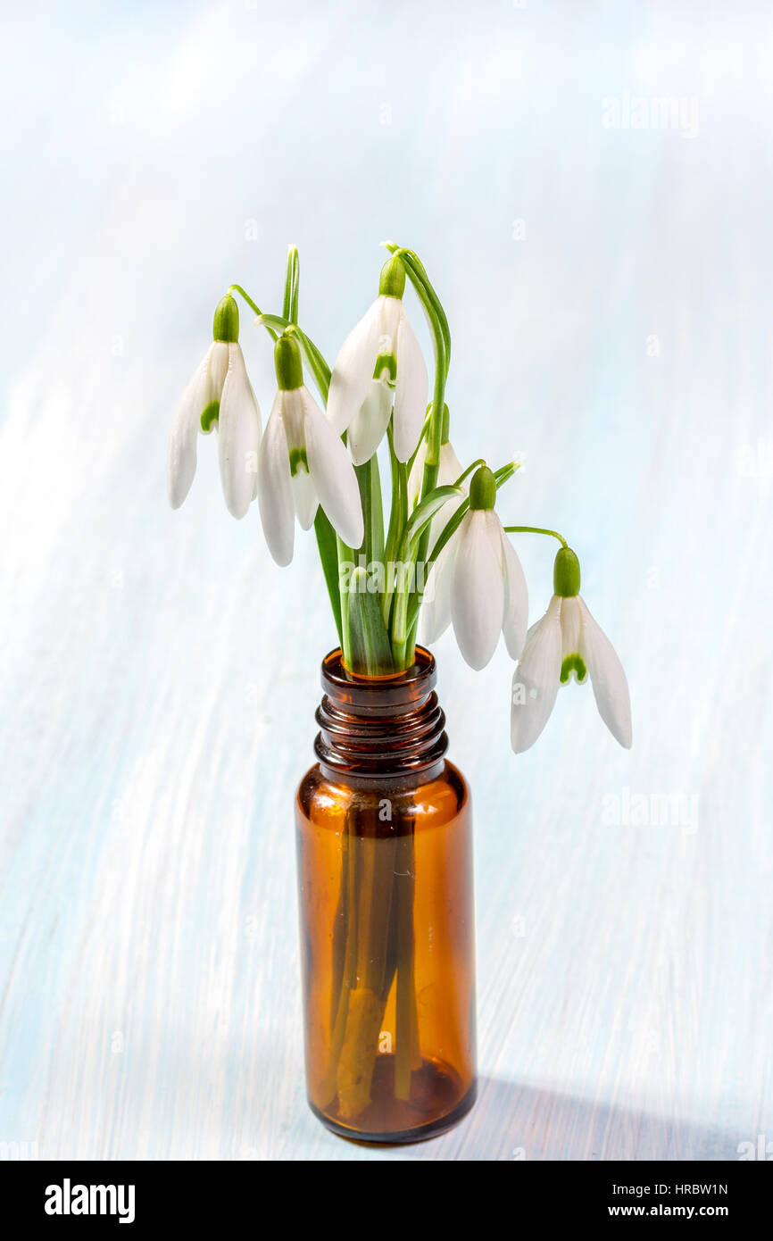 Bunch of snowdrops on the wooden background Stock Photo - Alamy