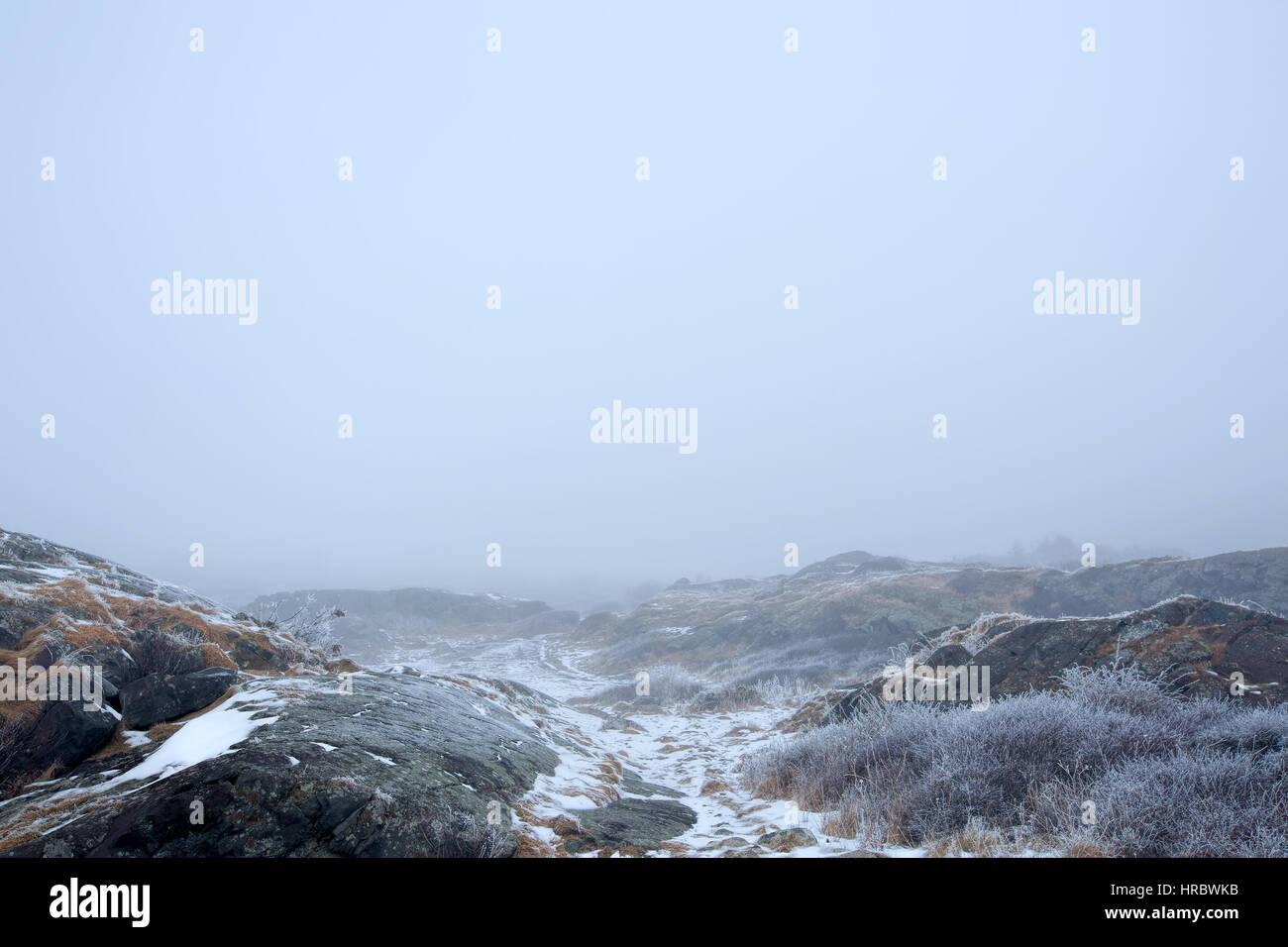 Foggy winter landscape Stock Photo - Alamy
