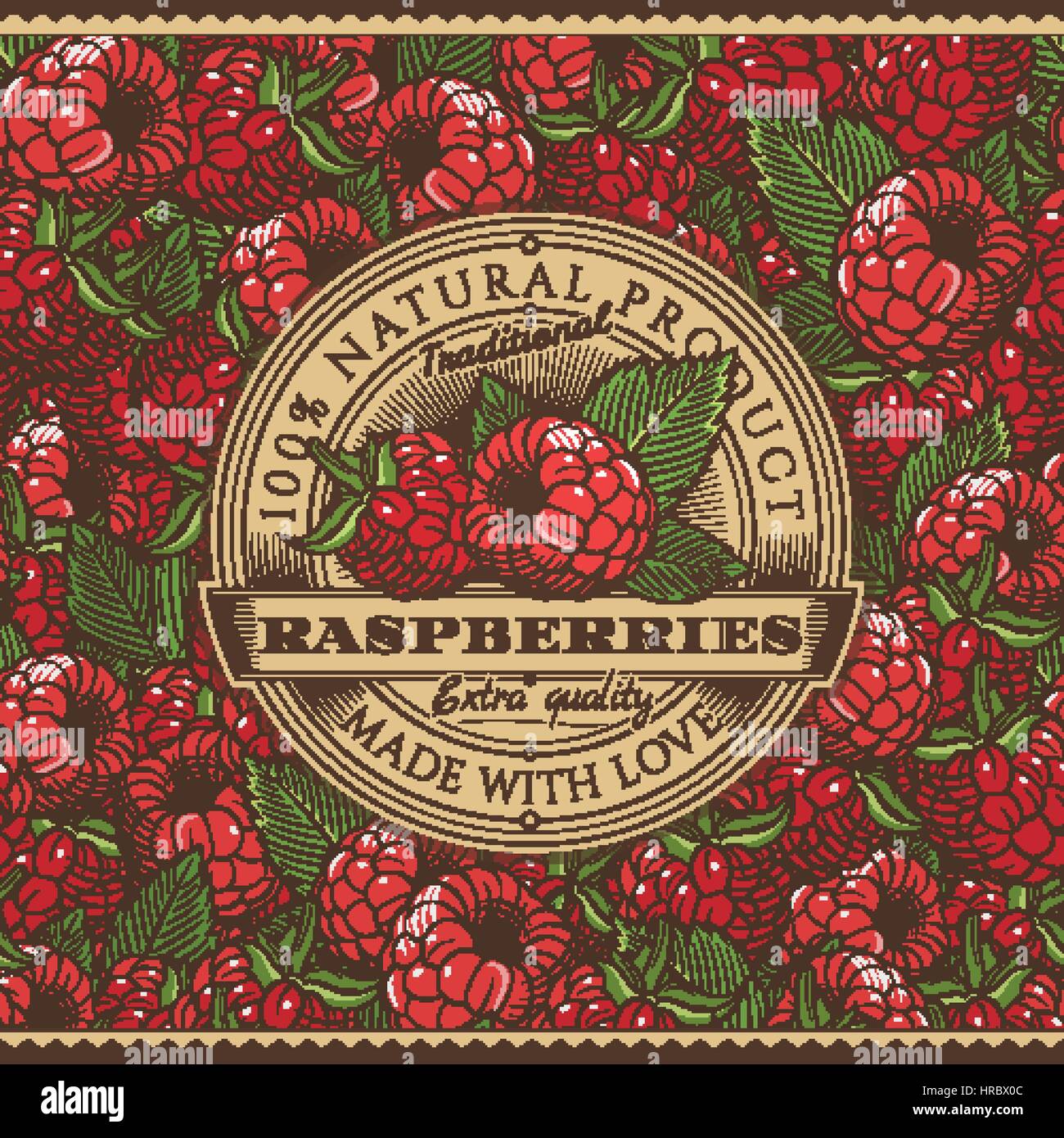 Raspberries drawing Stock Vector Images - Alamy