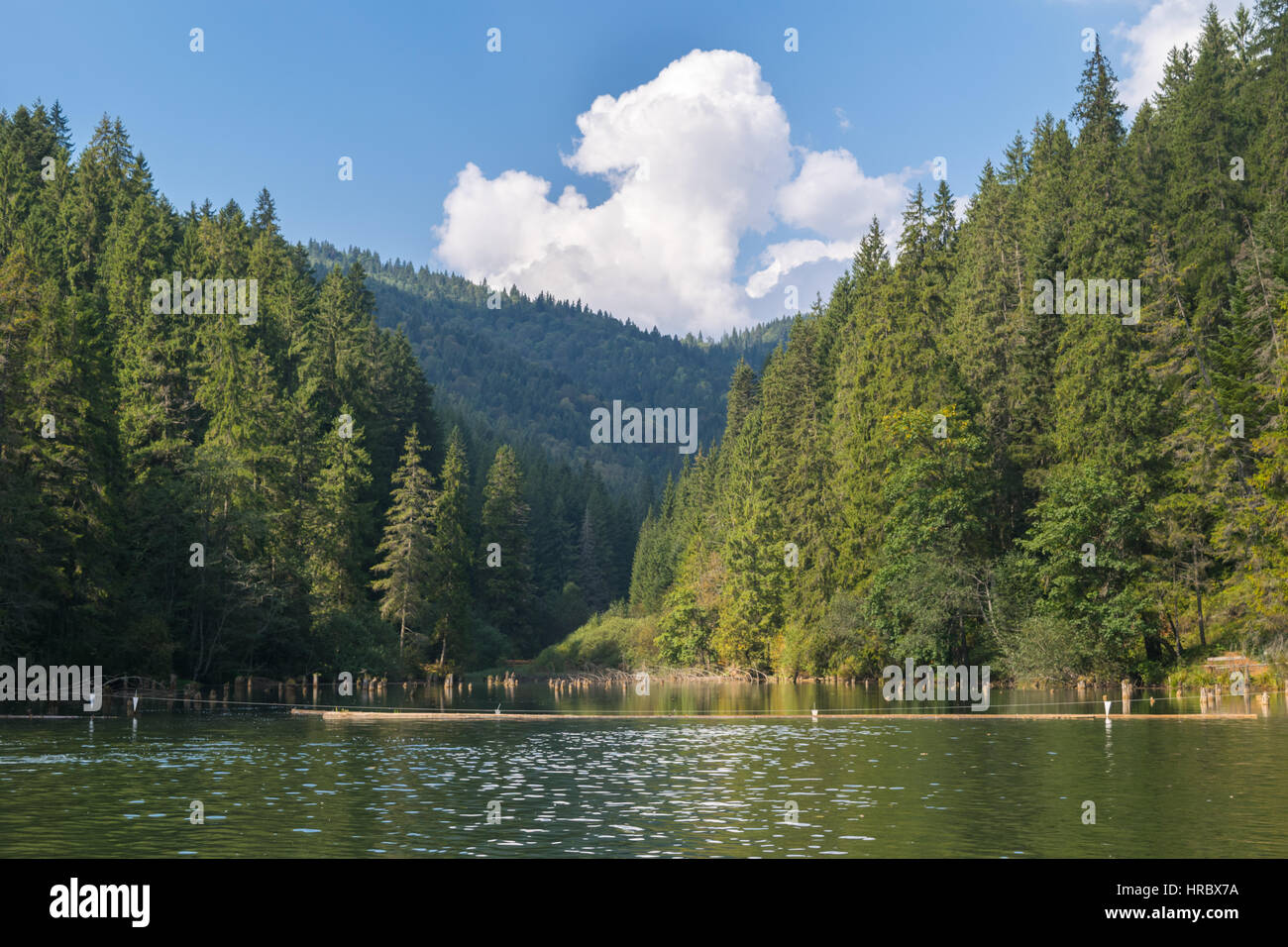 Red Lake (Lacul Rosu), Eastern Carpathians Mountains, Moldavia region ...