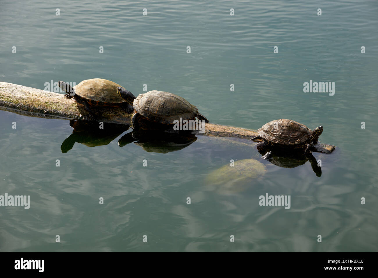 Correct direction hi-res stock photography and images - Alamy
