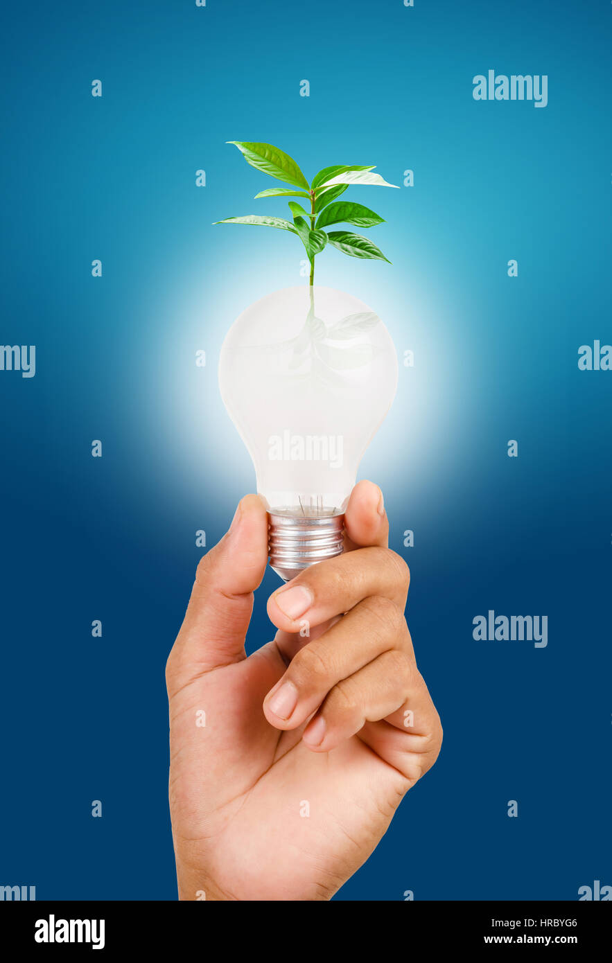 Sustainable resources, renewable energy and environmental conservation ...