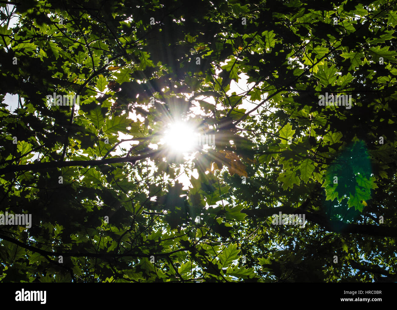 Chain o Lakes State Park Stock Photo - Alamy