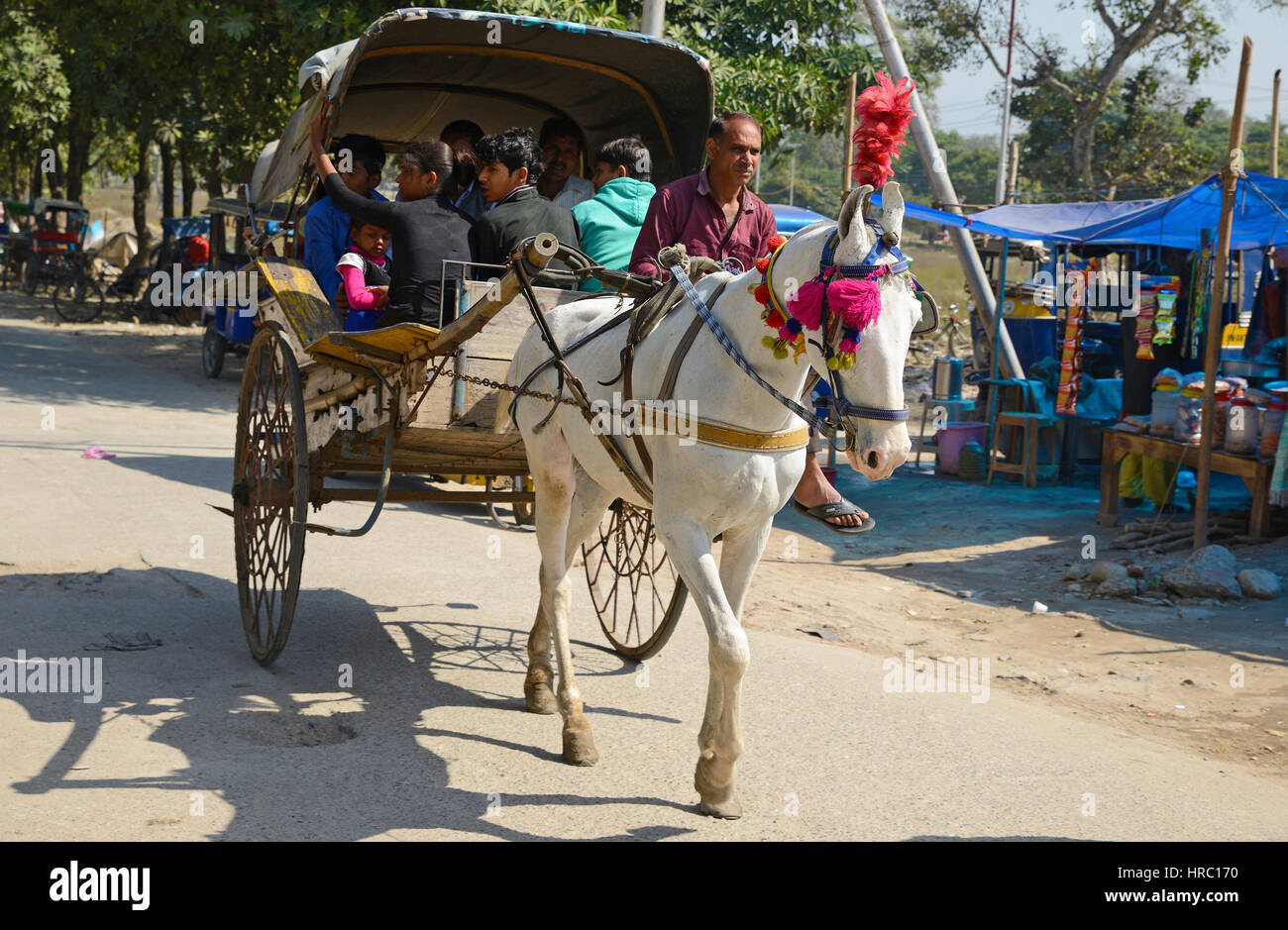 Old indian horse and cart hi-res stock photography and images - Alamy