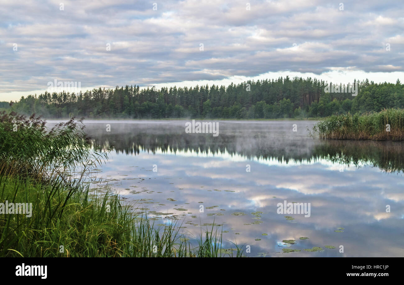 Morning landscape at lake Stock Photo - Alamy