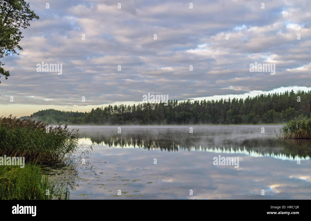 Morning landscape at lake Stock Photo - Alamy