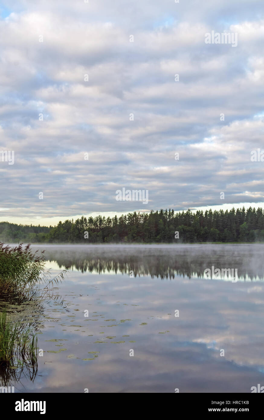 Morning landscape at lake Stock Photo - Alamy