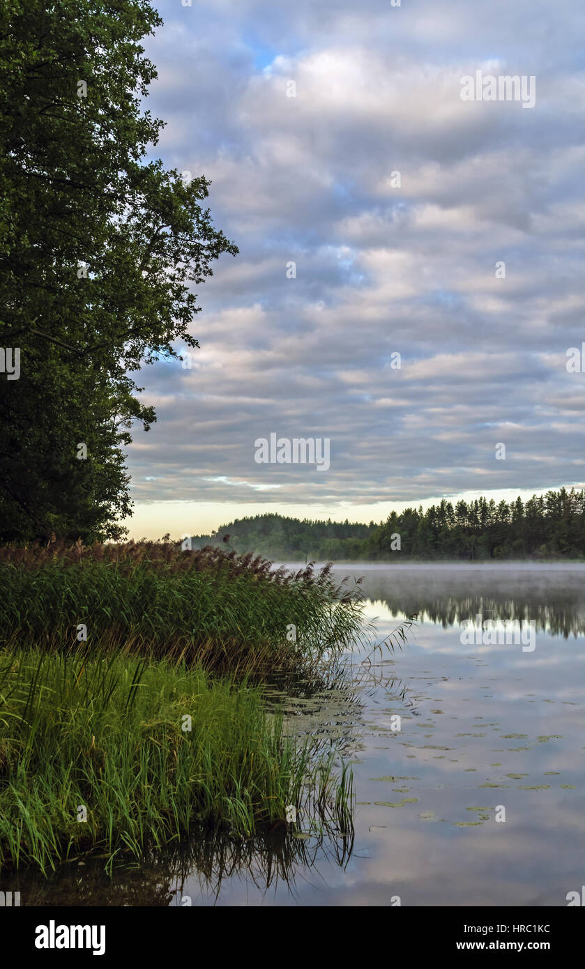 Morning landscape at lake Stock Photo - Alamy