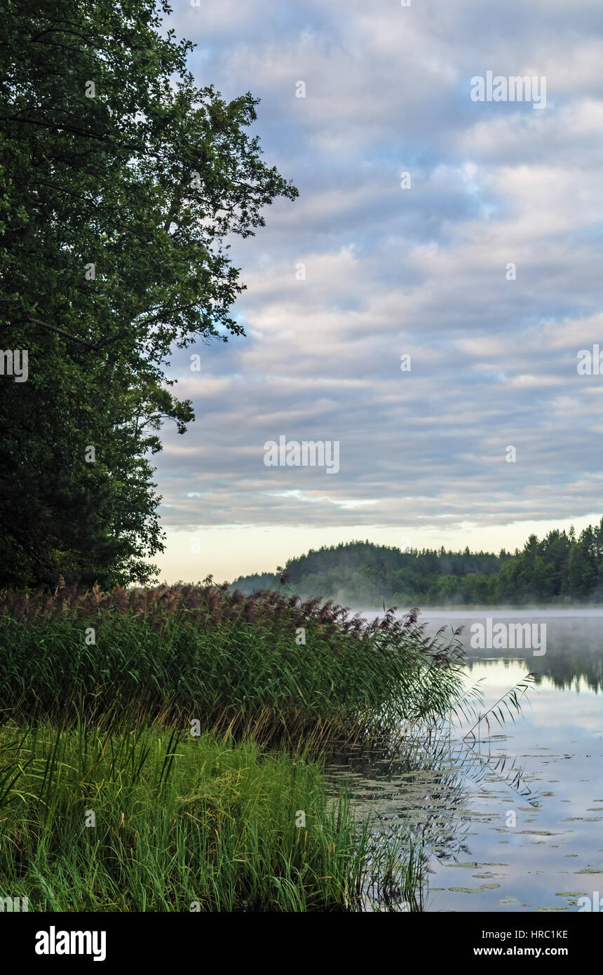 Morning landscape at lake Stock Photo - Alamy