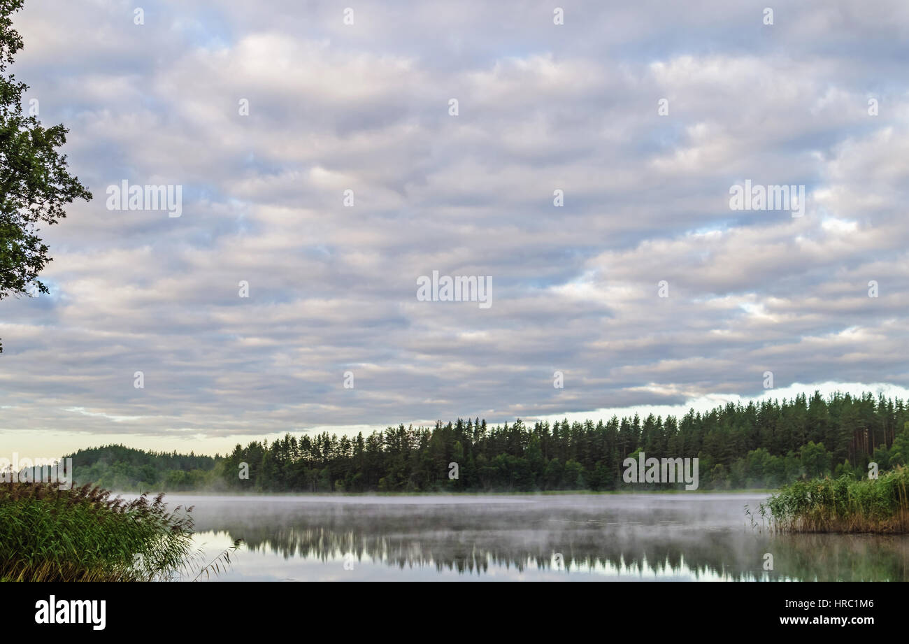 Morning landscape at lake Stock Photo - Alamy