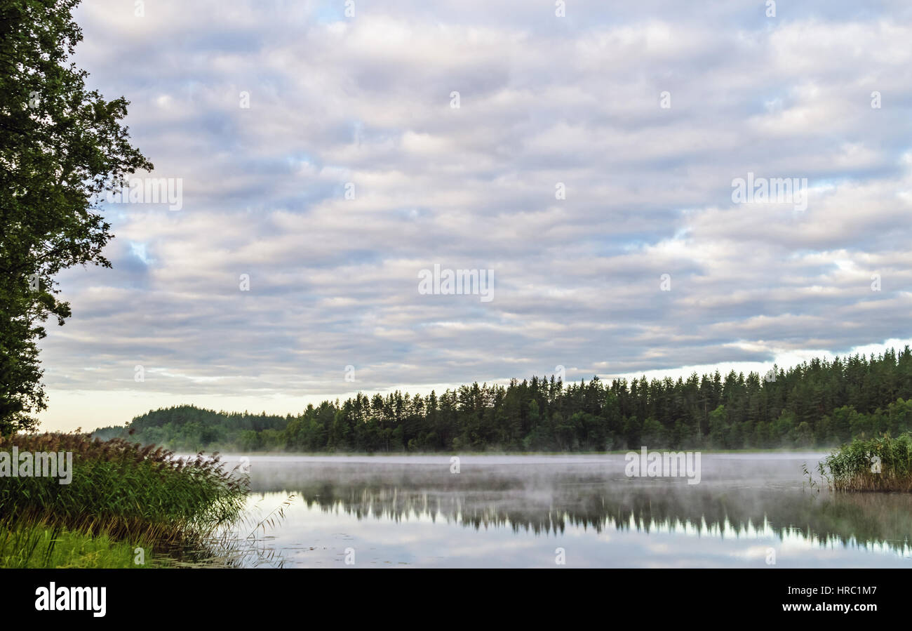 Morning landscape at lake Stock Photo - Alamy