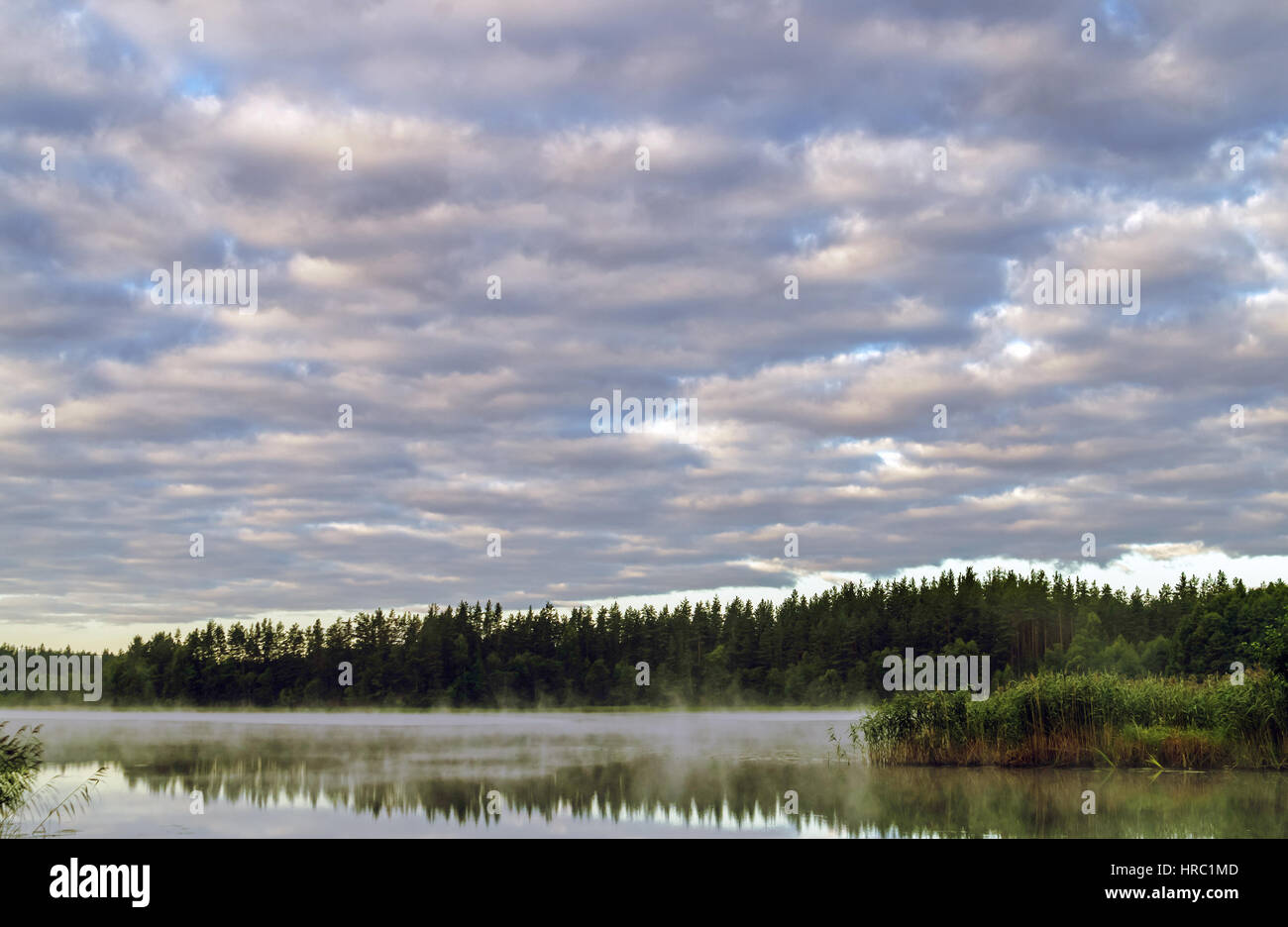 Morning landscape at lake Stock Photo - Alamy