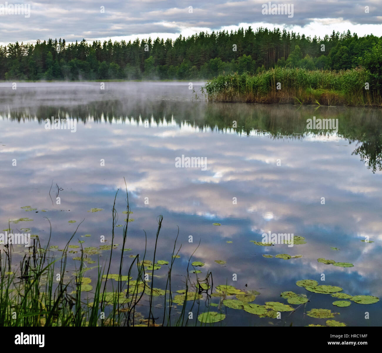 Morning landscape at lake Stock Photo - Alamy