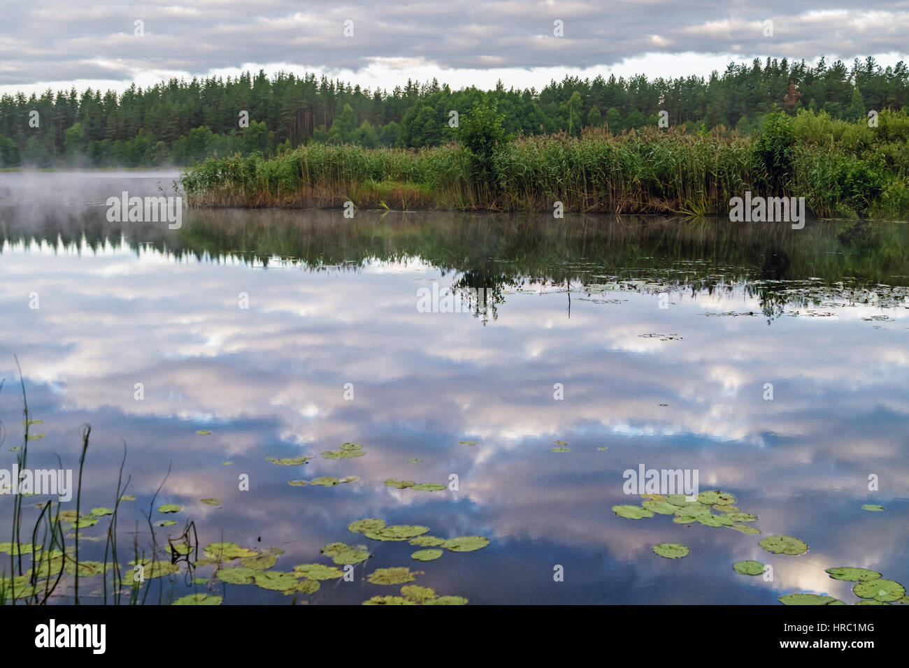 Morning landscape at lake Stock Photo - Alamy