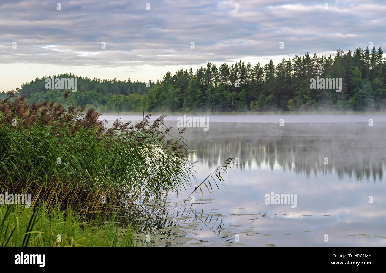 Morning landscape at lake Stock Photo - Alamy