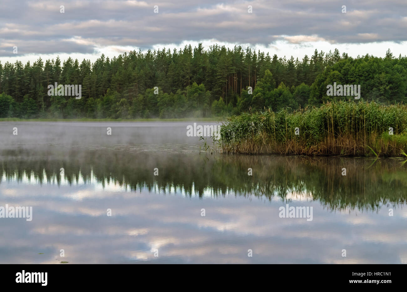 Morning landscape at lake Stock Photo - Alamy