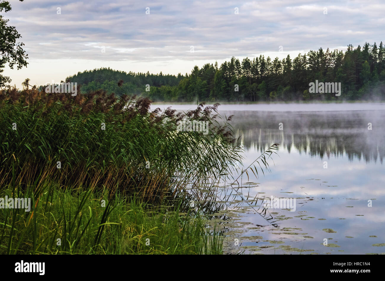 Morning landscape at lake Stock Photo - Alamy