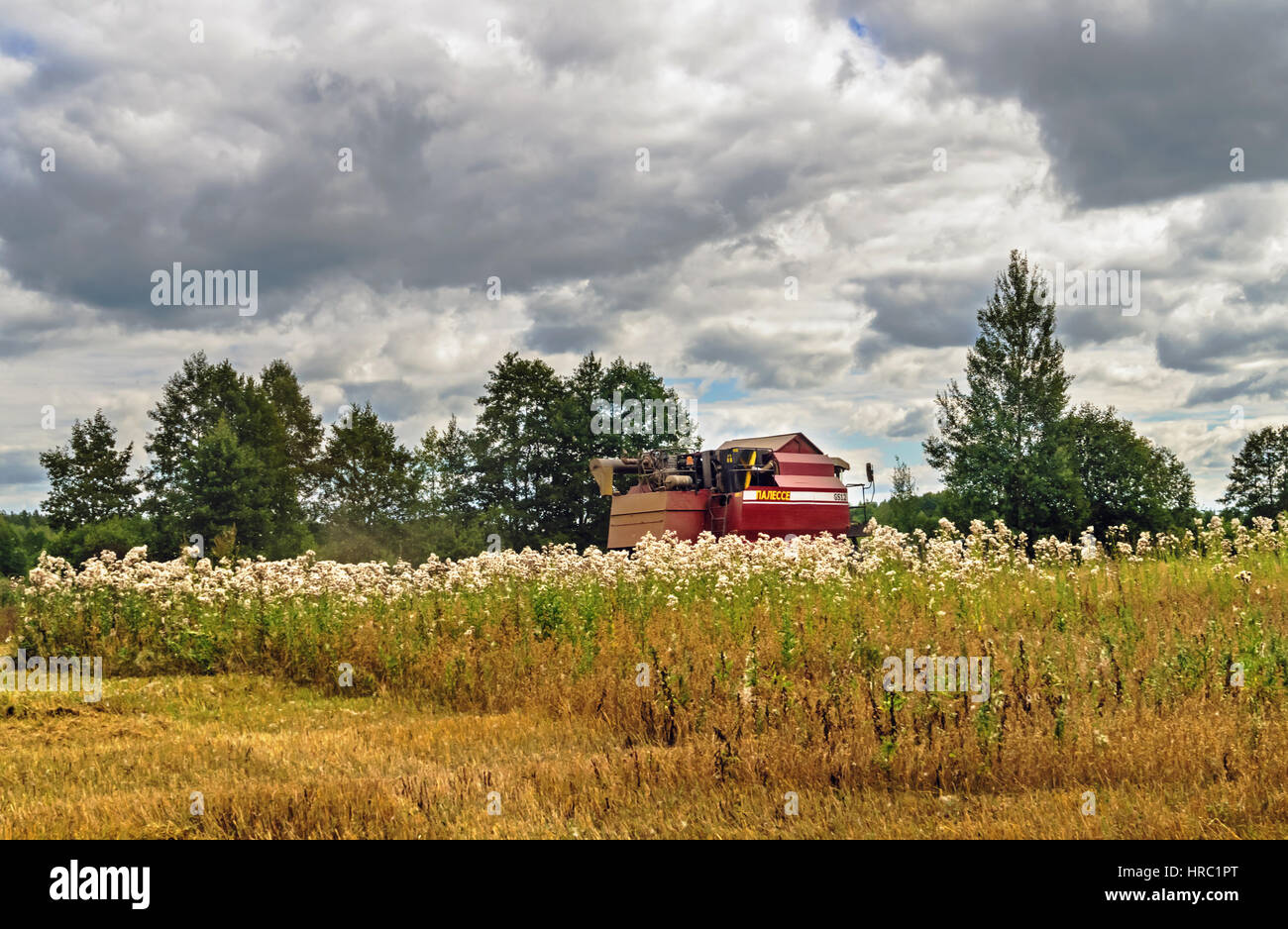 Cleaning agricultural field by harvester Stock Photo - Alamy