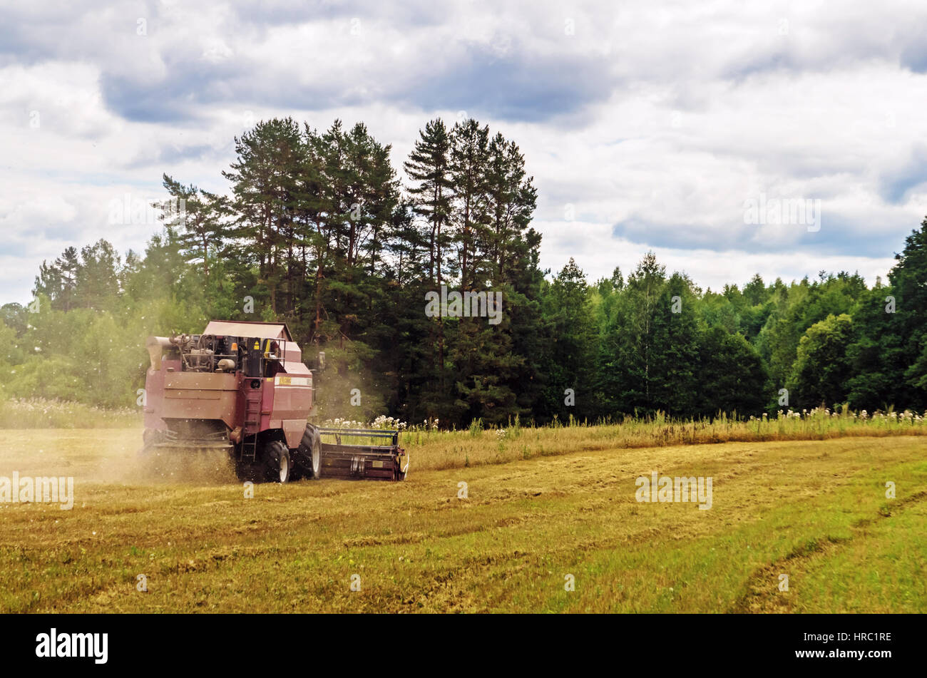 Cleaning agricultural field by harvester Stock Photo - Alamy