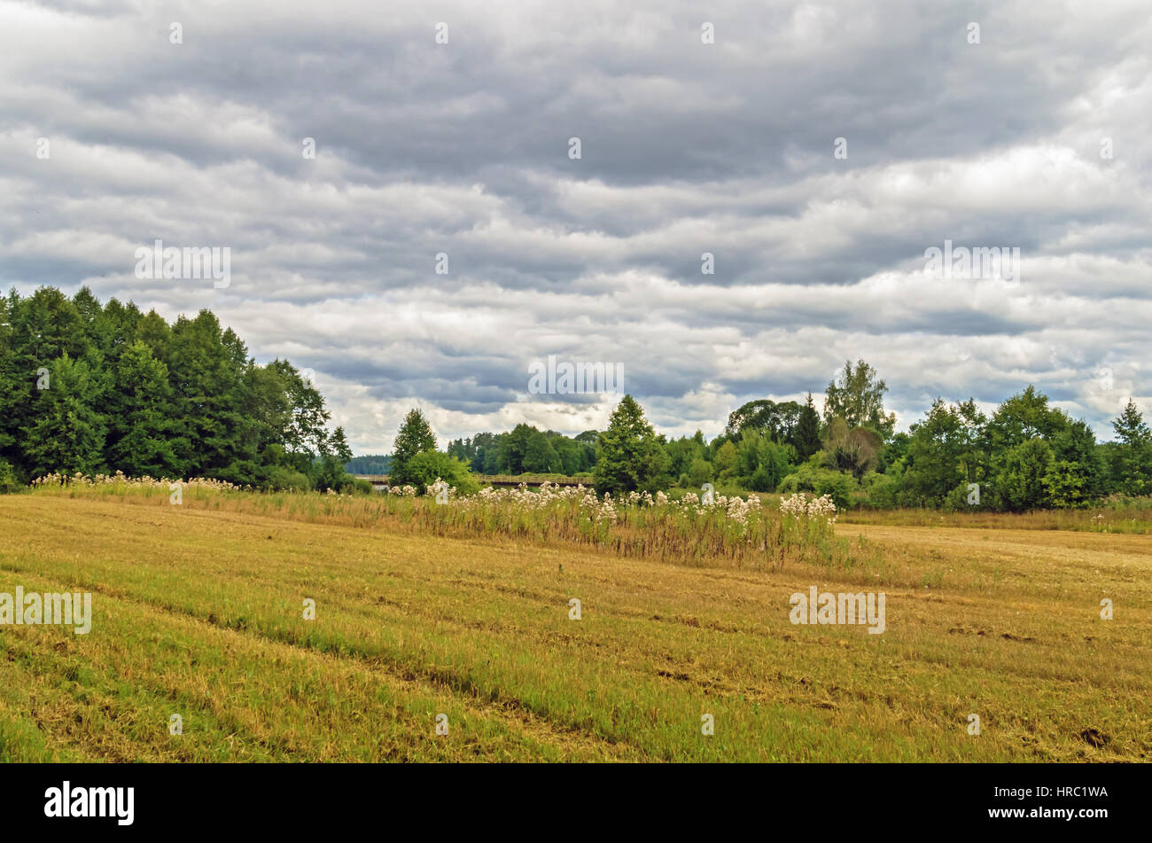 Landscape view - agricultural field and wooden bridge Stock Photo - Alamy