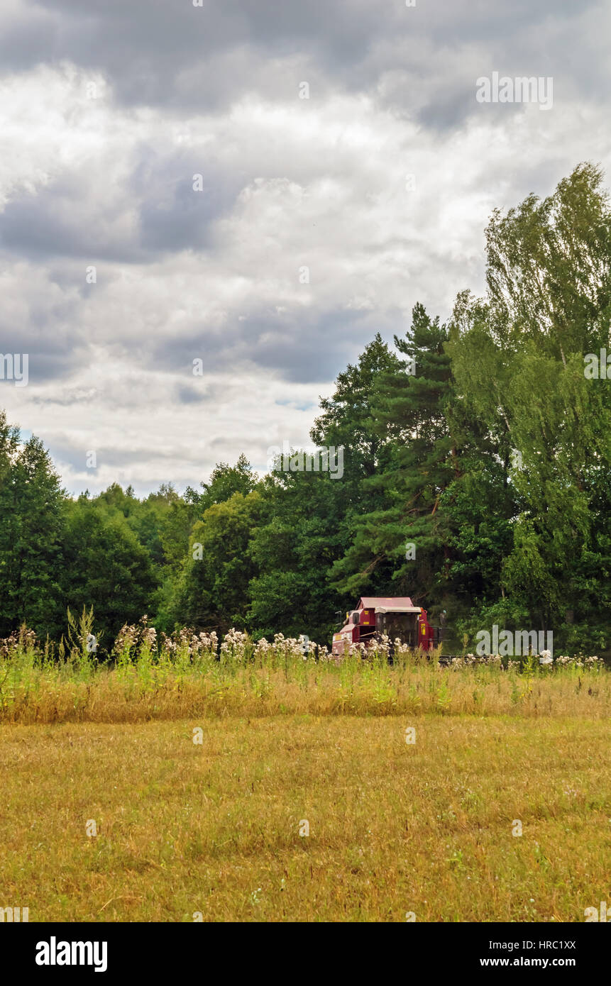 Cleaning agricultural field by harvester Stock Photo - Alamy