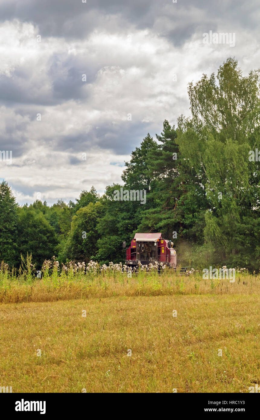 Cleaning agricultural field by harvester Stock Photo - Alamy
