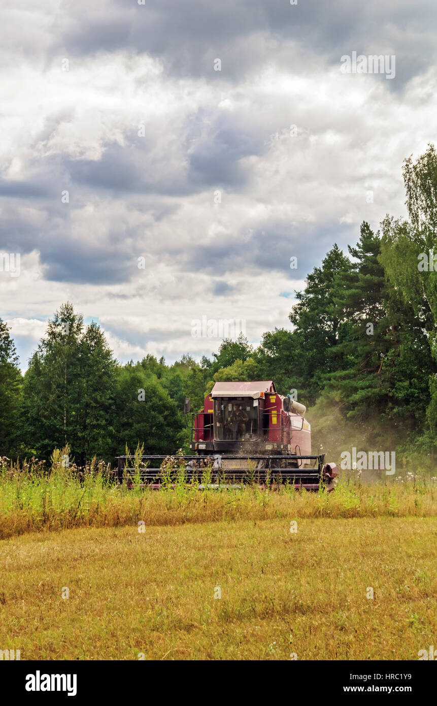 Cleaning agricultural field by harvester Stock Photo - Alamy