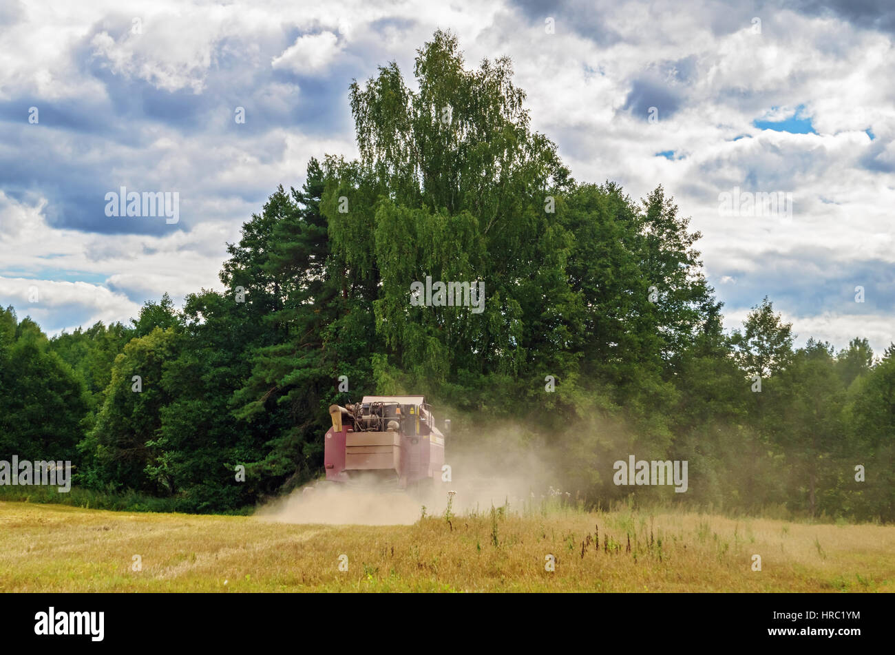 Cleaning agricultural field by harvester Stock Photo - Alamy