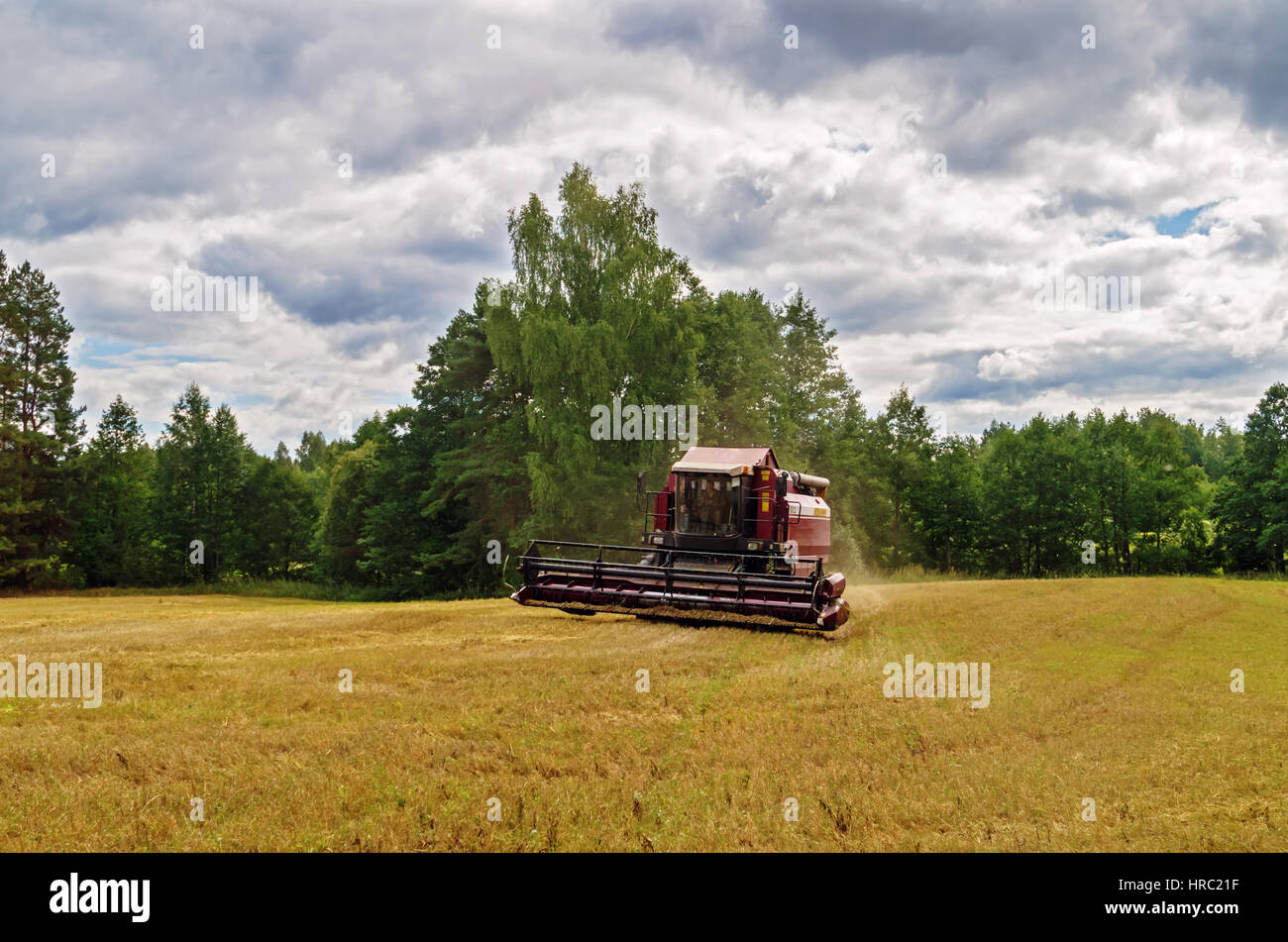 Cleaning agricultural field by harvester Stock Photo - Alamy