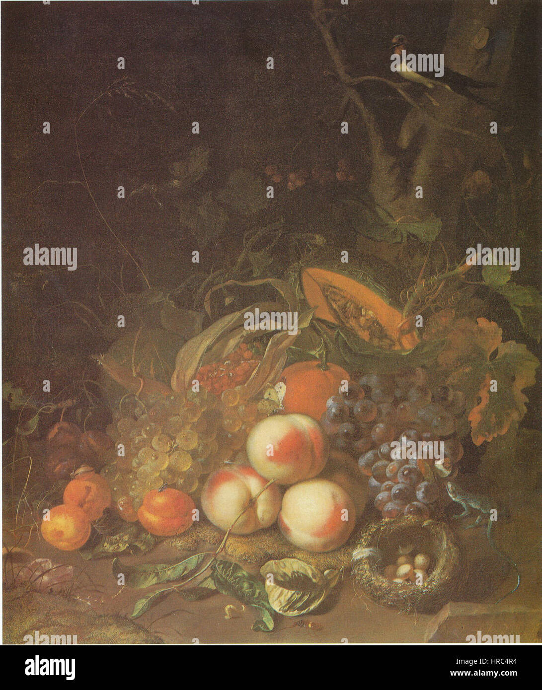 Rachel Ruysch - Fruit still life with a bird's nest and lizard Stock ...