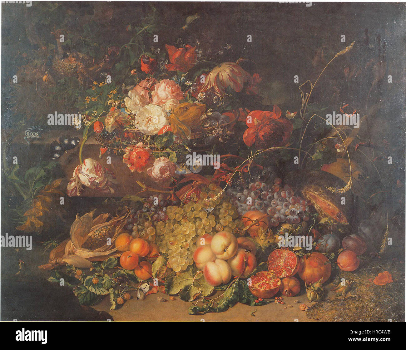 Rachel Ruysch-Fruit and Flowers in a Forest 1714 Stock Photo - Alamy