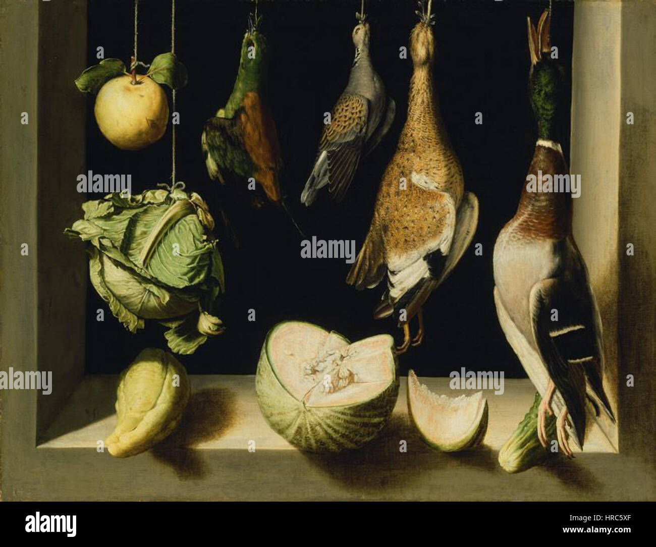 Cotan High Resolution Stock Photography and Images - Alamy