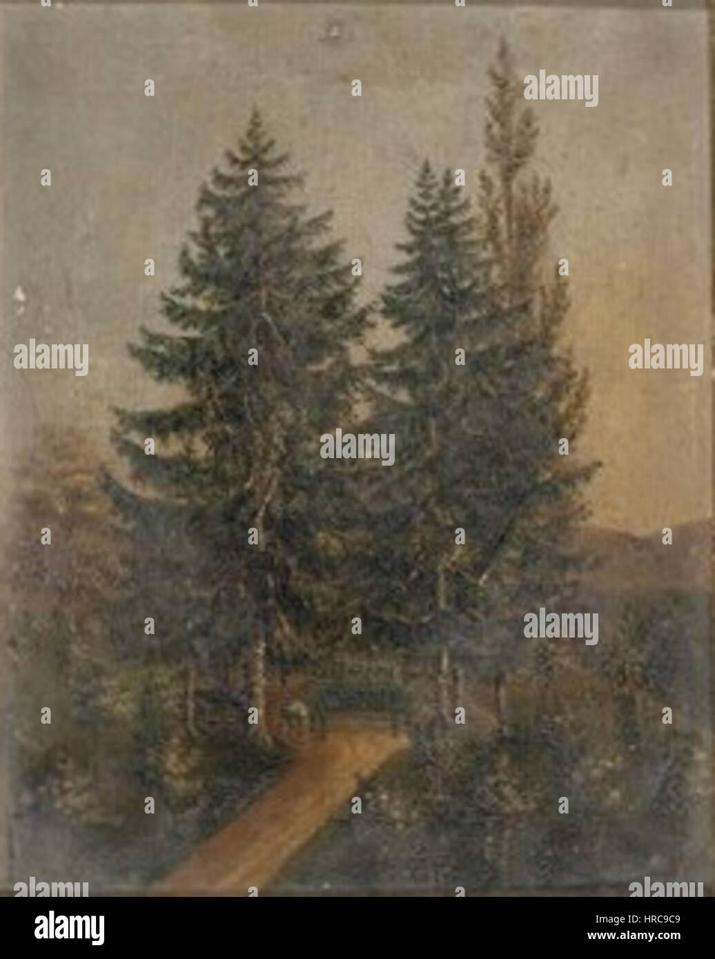 Smrek hi-res stock photography and images - Alamy