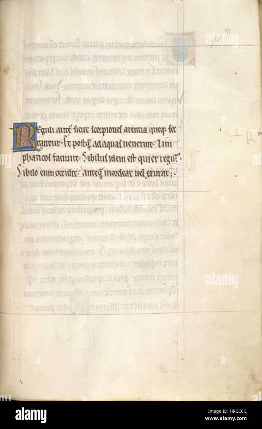 The 'Rochester Bestiary,' specifically Folio 091r, features medieval ...