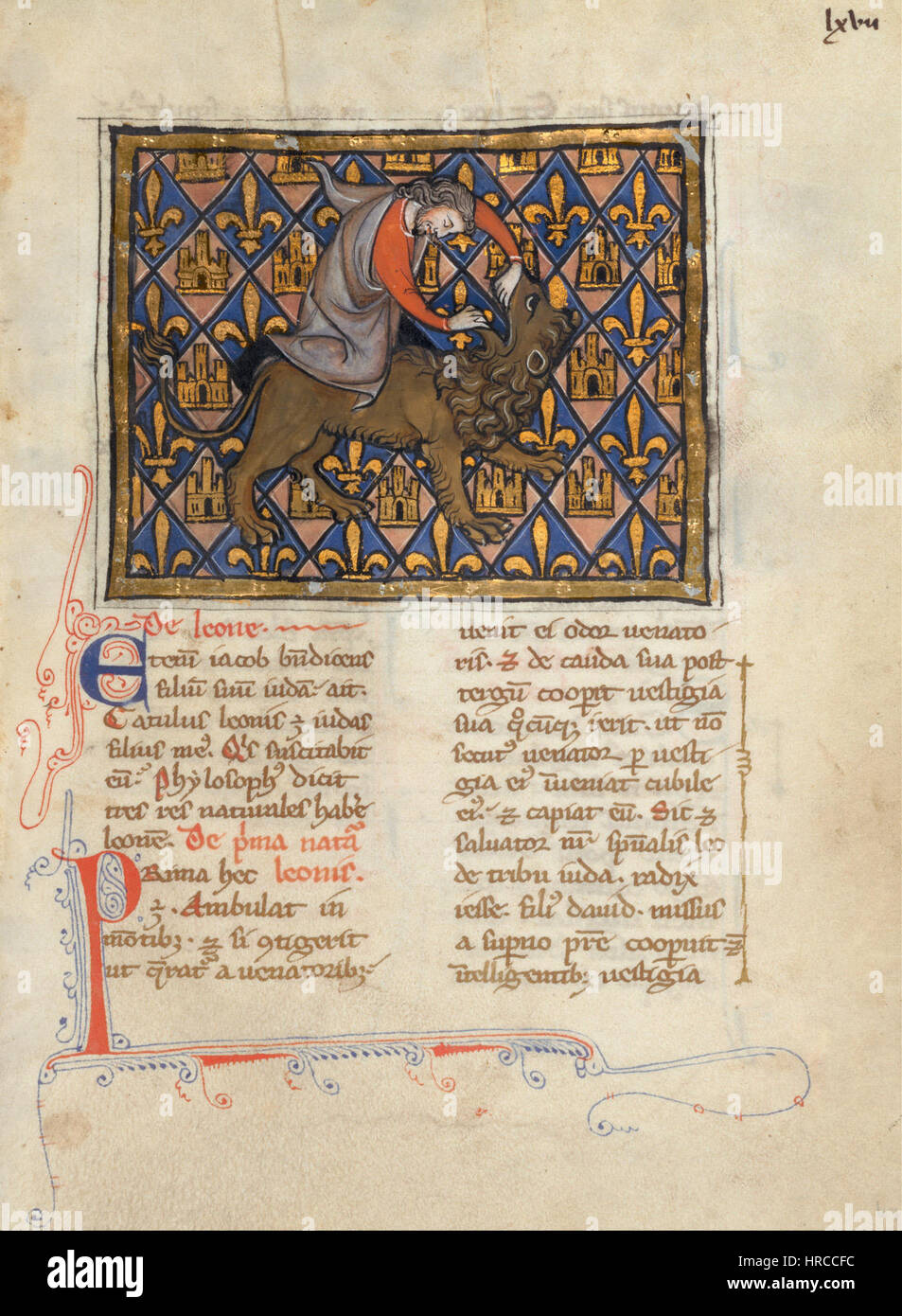 Samson Fighting a Lion - Google Art Project Stock Photo - Alamy