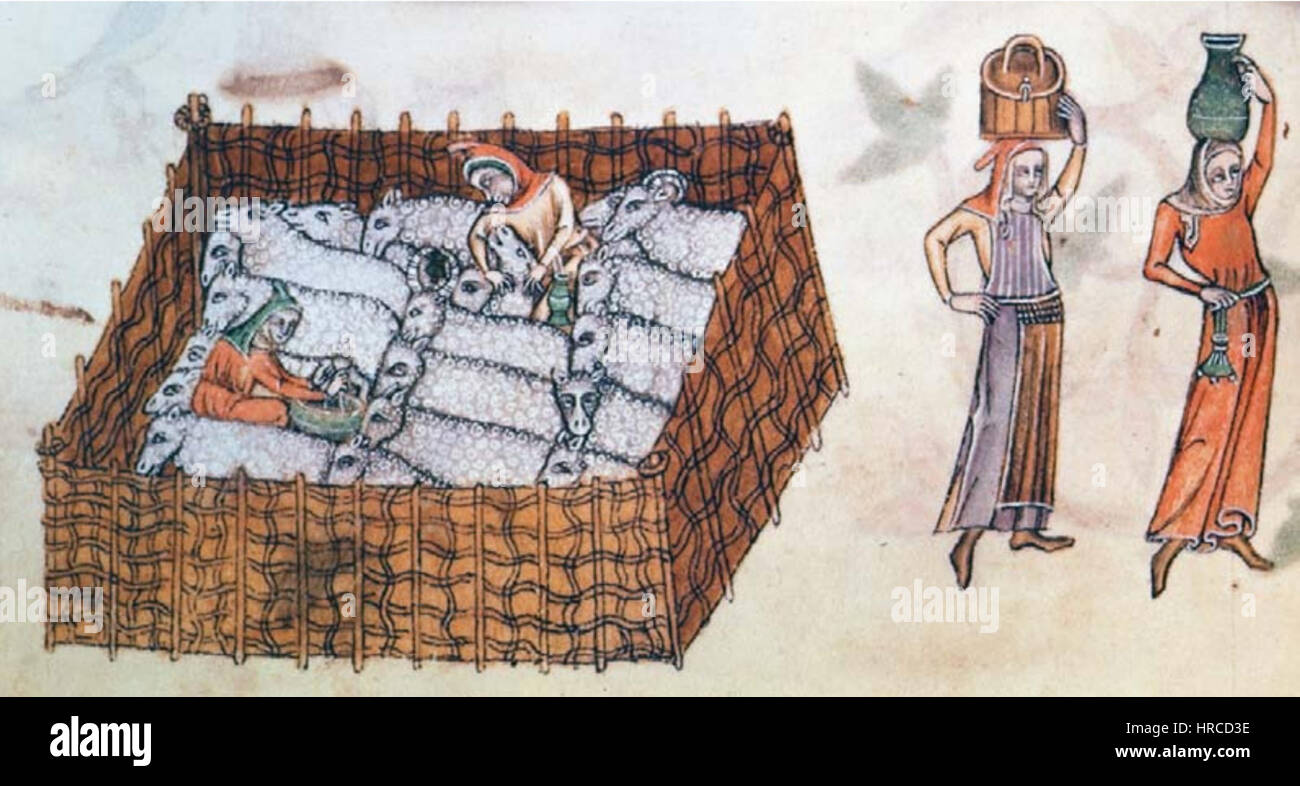 Medieval england scene illustration hi-res stock photography and images ...