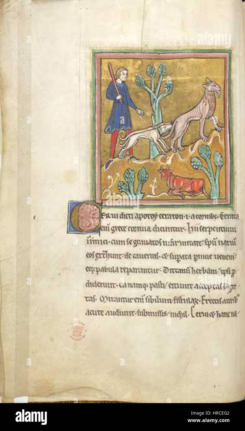 Mythological creature manuscript hi-res stock photography and images ...